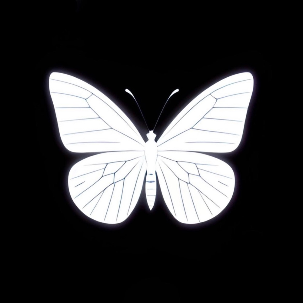 Dylan Wilkes, une Révélation Musicale avec "High Fashion" - EXTRAVAFRENCH