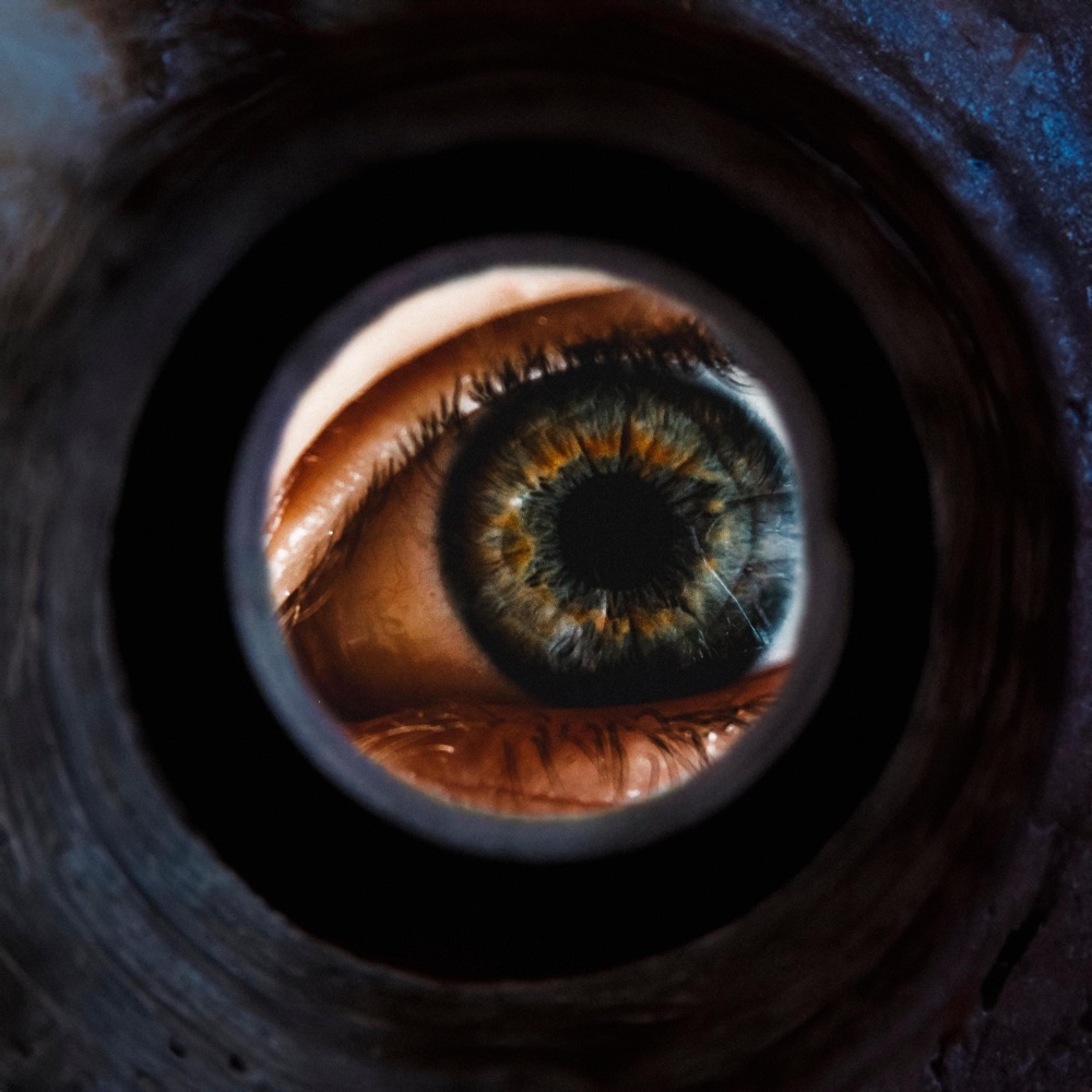 Rozeneon dévoile "OBSCENE", l'hymne d'une génération en quête d ...