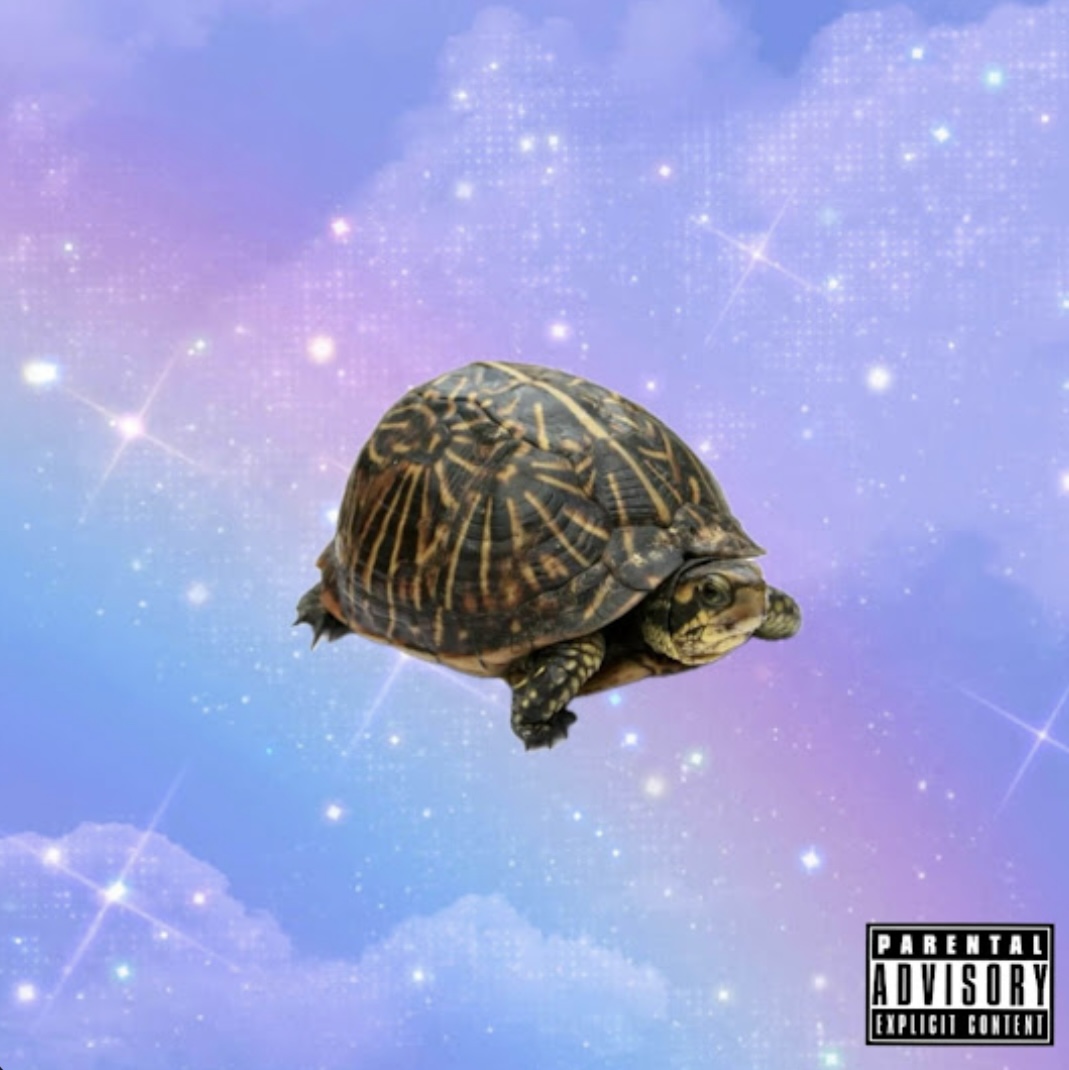 The Milkshakes & VERSACEBOYS sur “Turtle Milk”, Une Fusion Juteuse et ...