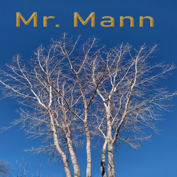 “Mr. Mann”, Une Ballade Pop Joyeuse par James M LaRocque - EXTRAVAFRENCH