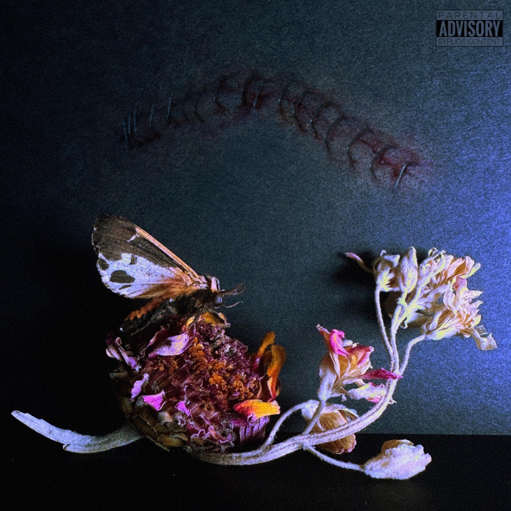 Wiley From Atlanta fait sensation sur “SKIT 3 (Halfway There ...