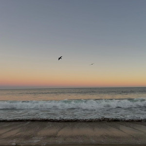 Bebou sur "Every Day", Un Collectif Artistique Qui Brise Les Frontières ...