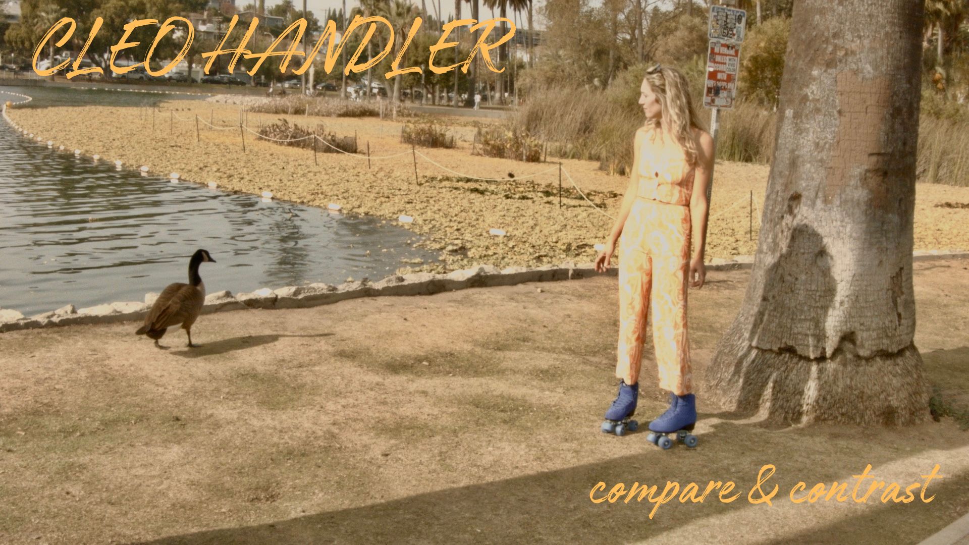 Cleo Handler dévoile "compare & contrast" : 13 chansons pour survivre à l'absurdité sentimentale ...