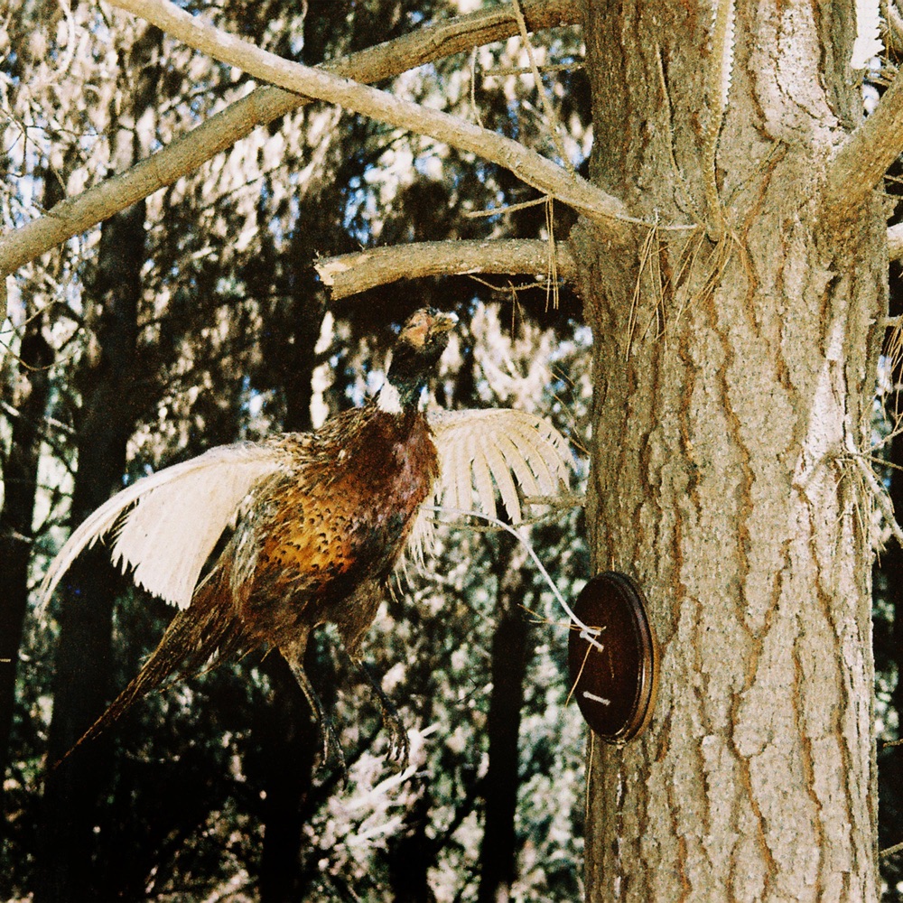 La deep house se souvient de l’été avant même qu’il n’arrive avec Willy ...